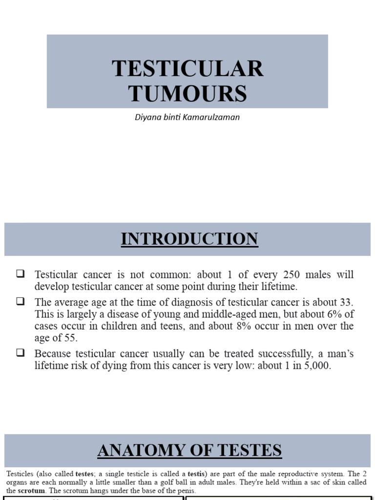 Surgical Posting - Testicular Tumours | PDF | Testicle | Cancer