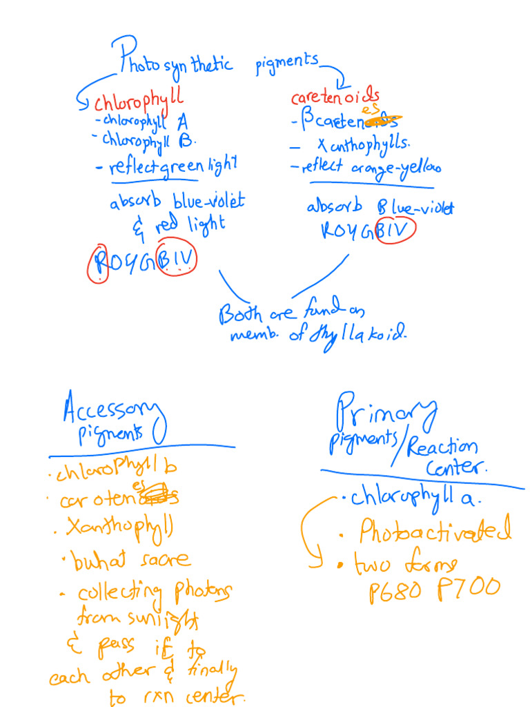 Note 28-Sep-2023 | PDF