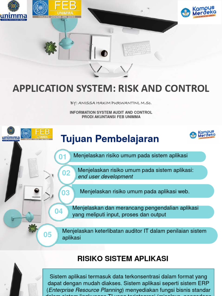It Application System - Risk and Control | PDF