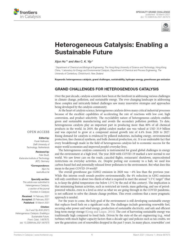 Heterogeneous Catalyst-Sustainable Future | PDF | Catalysis | Heterogeneous Catalysis