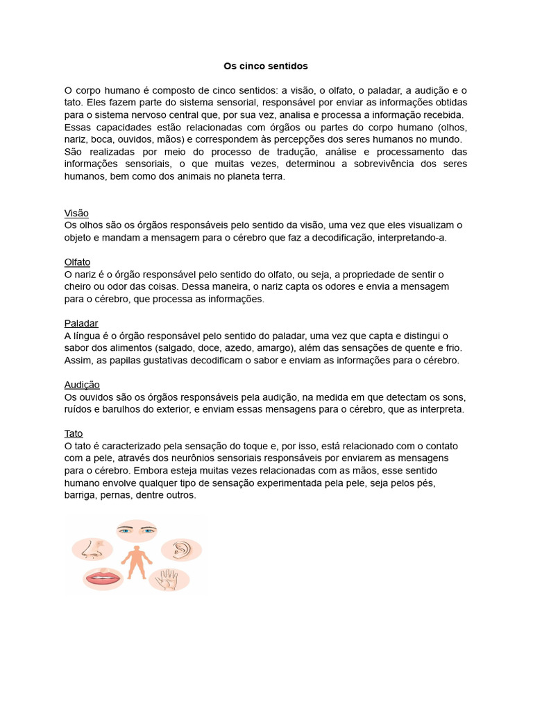 5 Sentidos | PDF