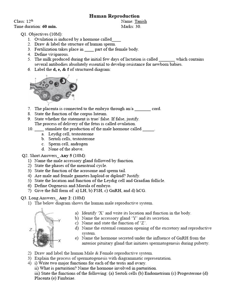 12th Grade Human Reproduction Quiz | PDF | Human Reproduction | Gynaecology