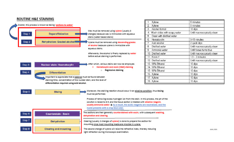 H&E Staining Procedure Overview | PDF | Staining | Materials
