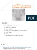RX de Pie | PDF | Pie | Extremidades (anatomía)