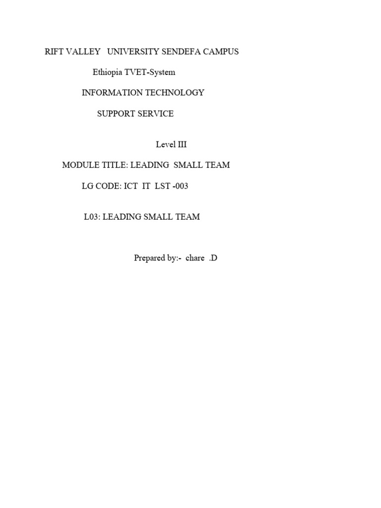 Small Lead Team | PDF | Leadership | Goal