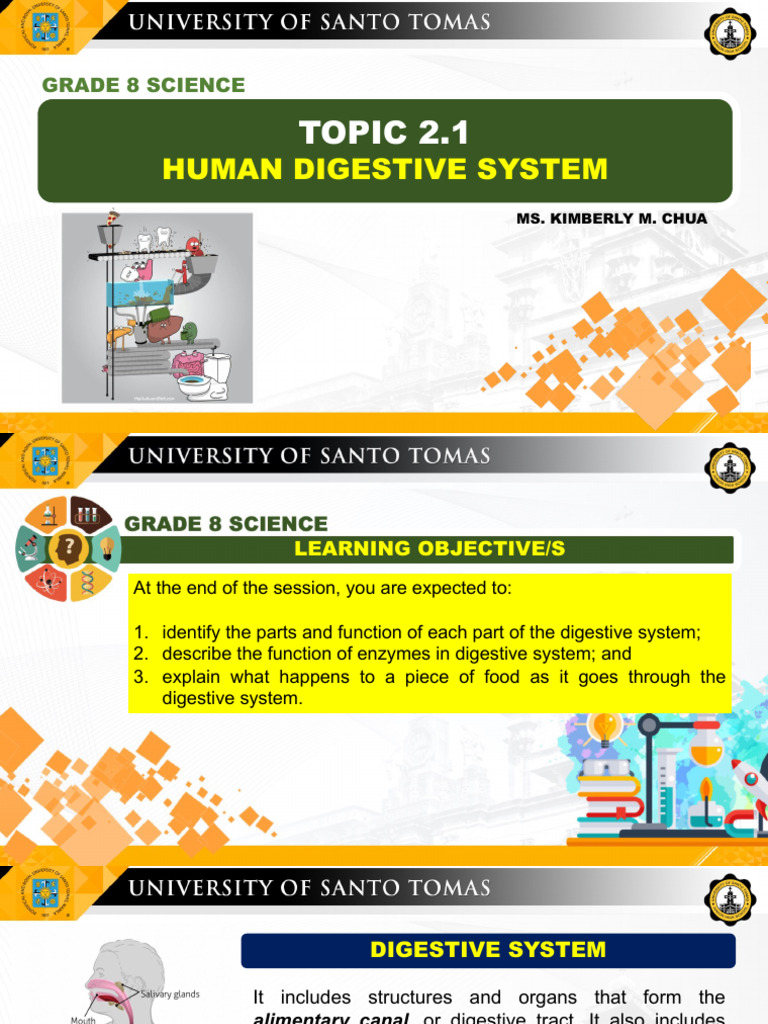 Topic 2.1 - Human Digestive System | Download Free PDF | Human ...