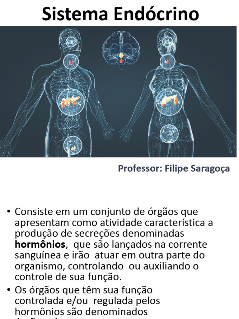 Aula 15 - Sistema Endócrino | PDF | Glândula pituitária | Hormônio luteinizante
