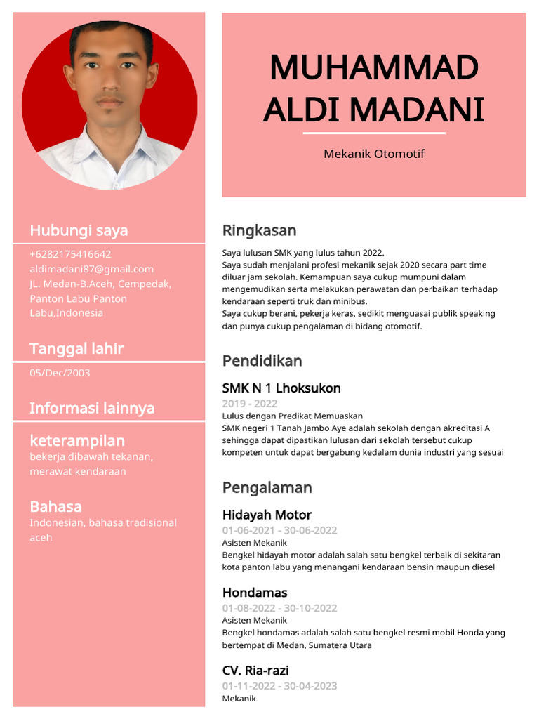 CV Aldi Madani - 1695240118 | PDF