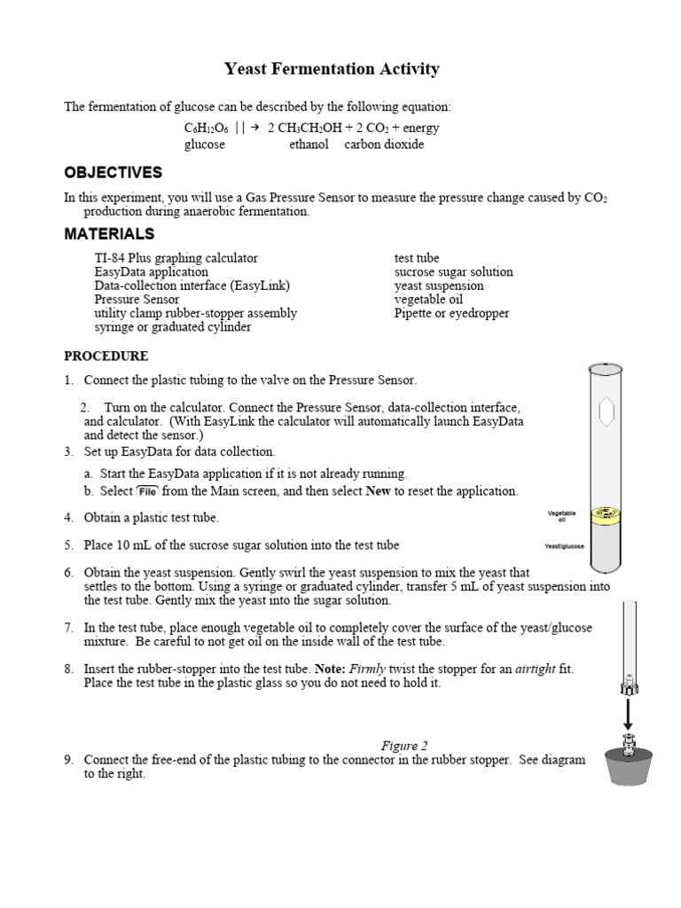 Yeast Fermentation Activity | PDF | Sucrose | Yeast