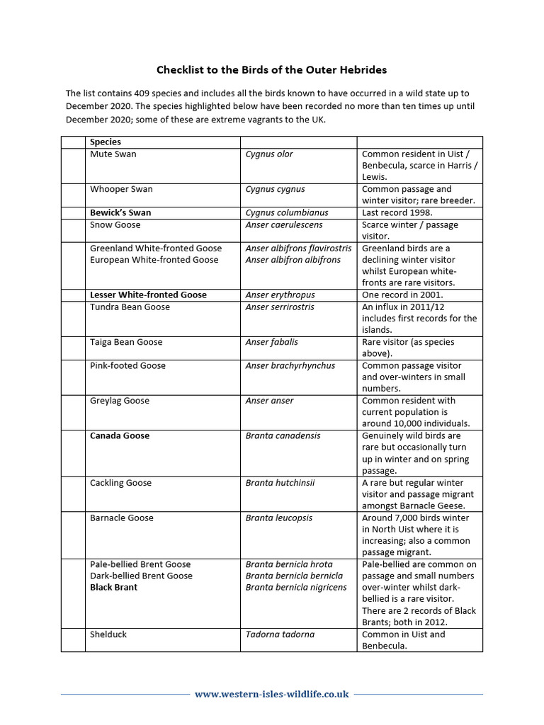 Birds of the Outer Hebrides Checklist | PDF | Gull | Fauna