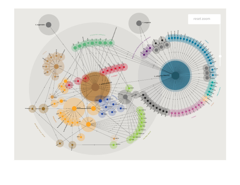 World Coffee Catalog | PDF