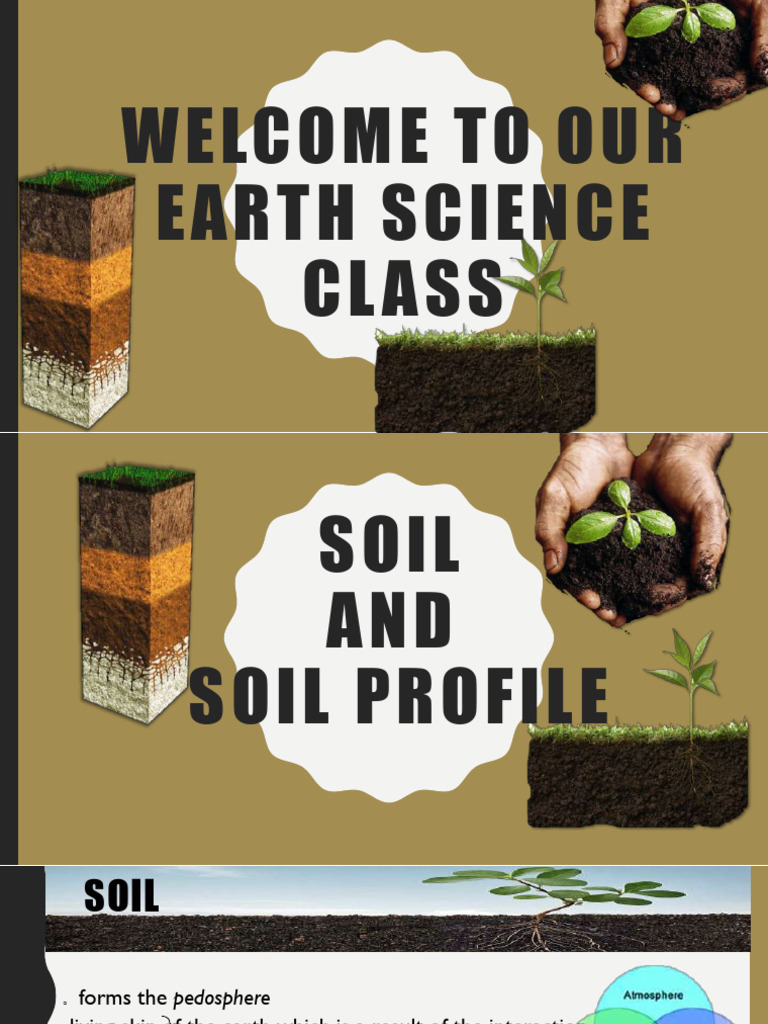 Soil Profile | PDF | Soil | Horticulture