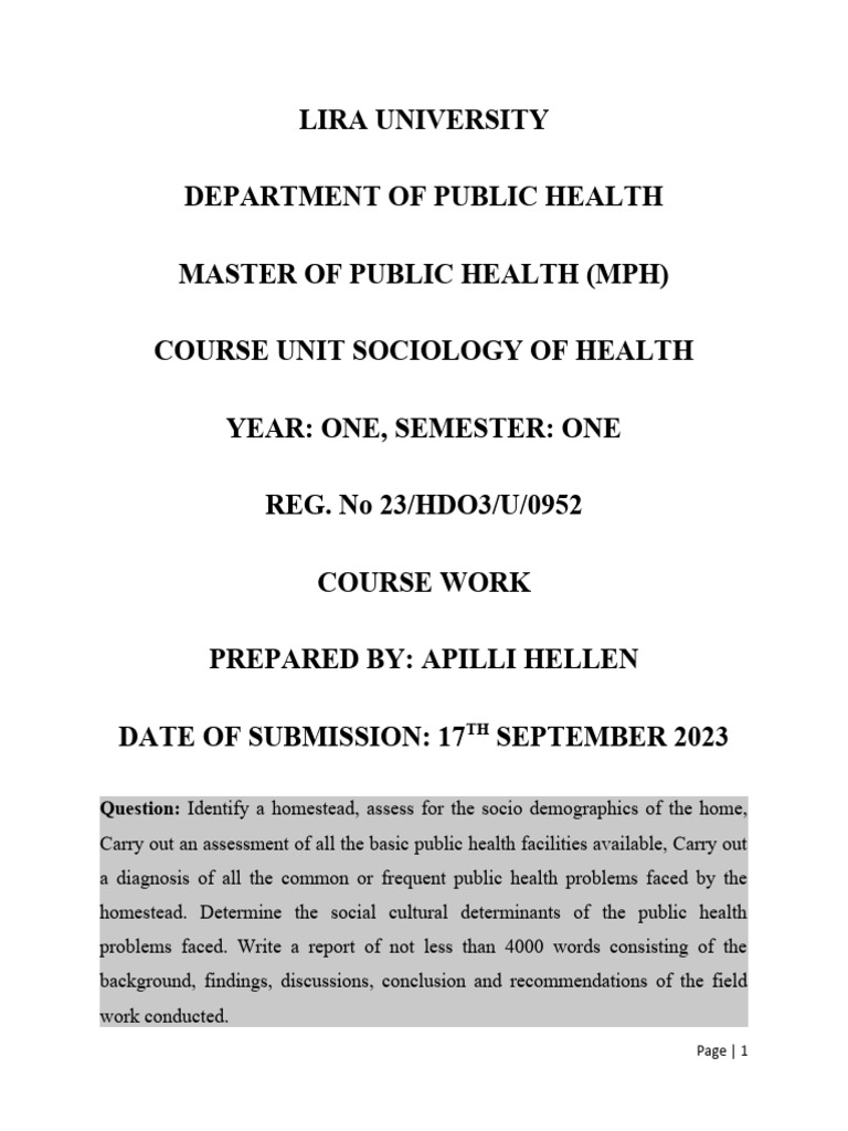 Public Health Assessment of Ogur Homestead | PDF | Malaria | Poverty