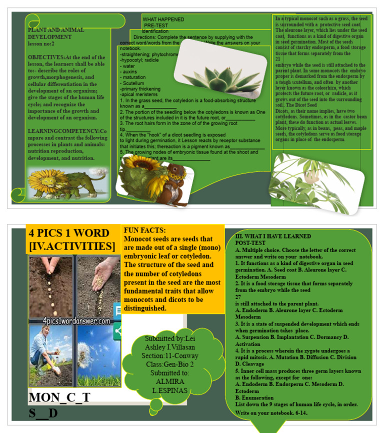 Gen Bio Brochure | PDF | Seed | Embryo