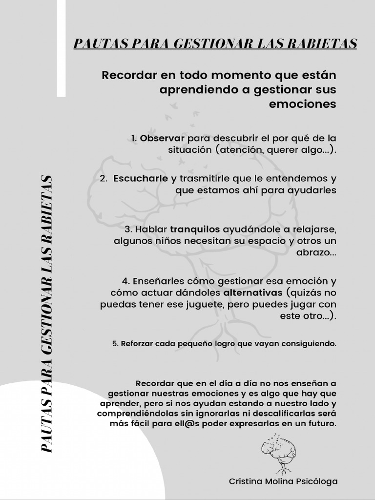 Pautas para Gestionar Las Rabietas | PDF Pautas para Gestionar Las Rabietas | PDF