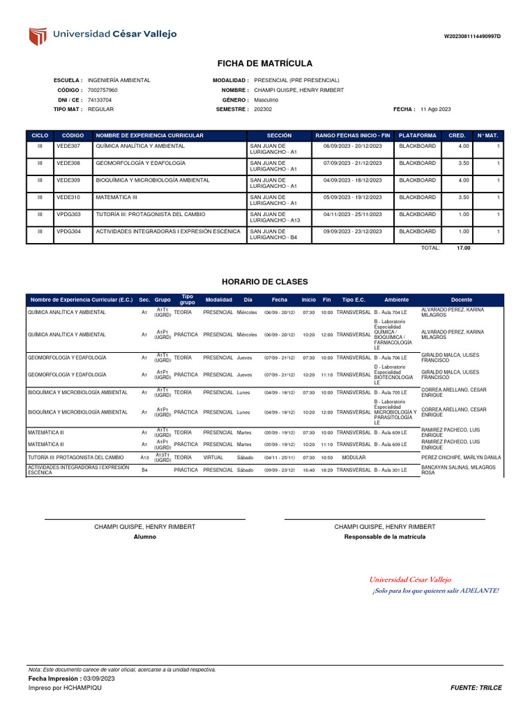 Henry Champi Quispe | PDF