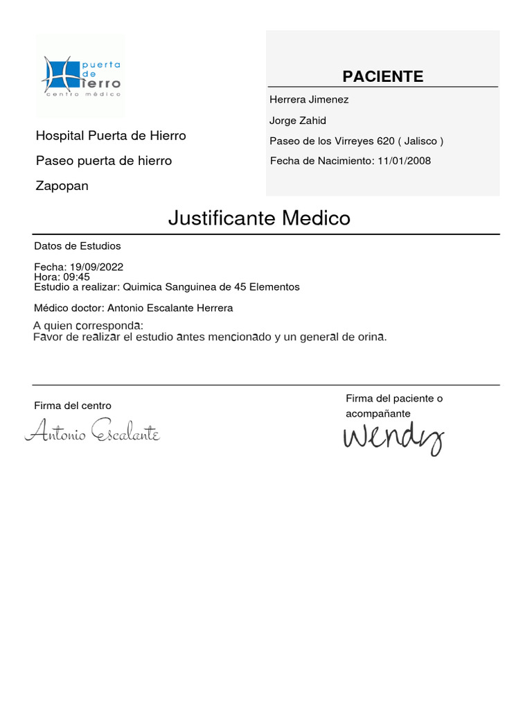Justificante Medico: Paciente | PDF
