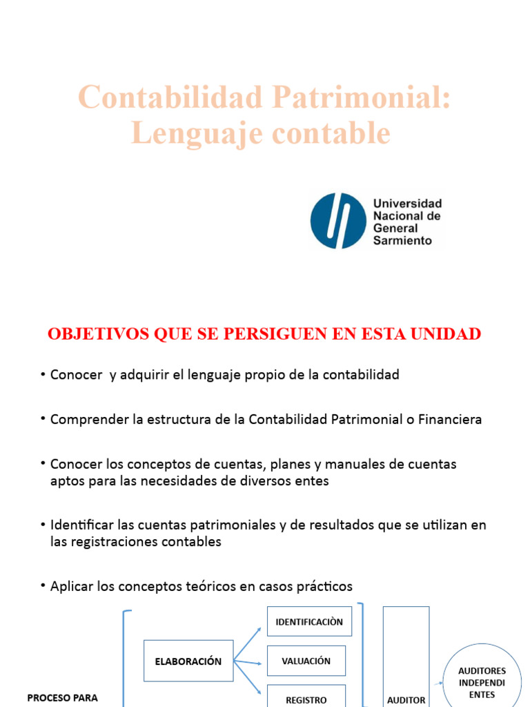 Elementos y Lenguaje Contable | PDF | Contabilidad | Valor neto