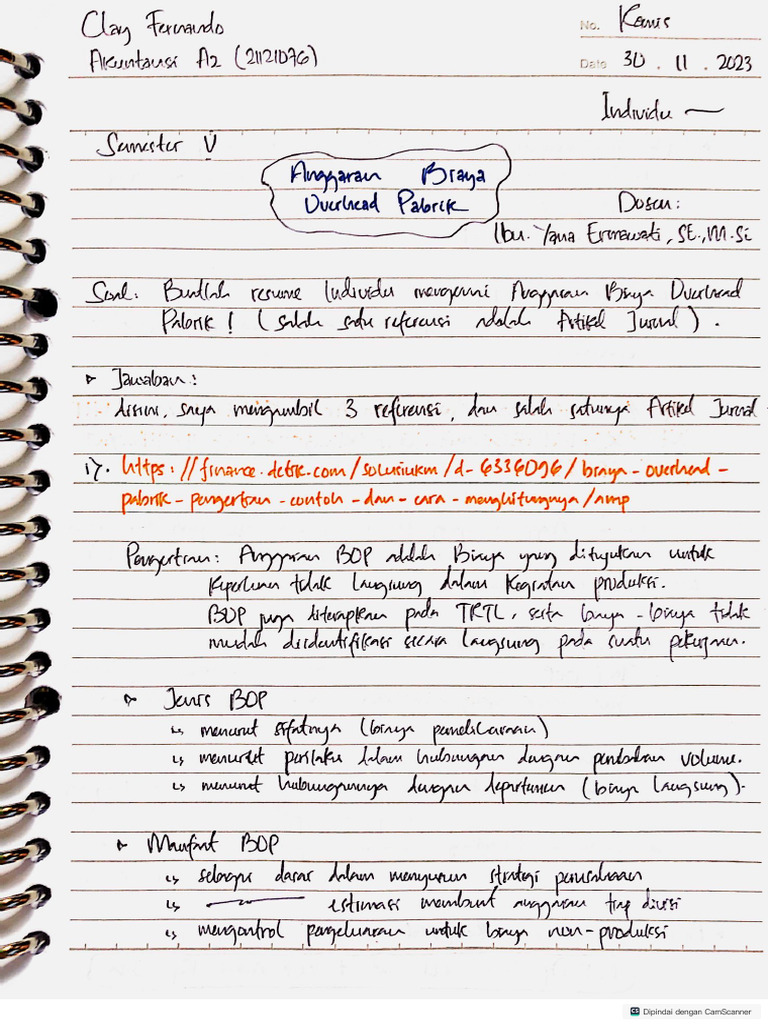 Resume Individu (Clay Fernando) | PDF