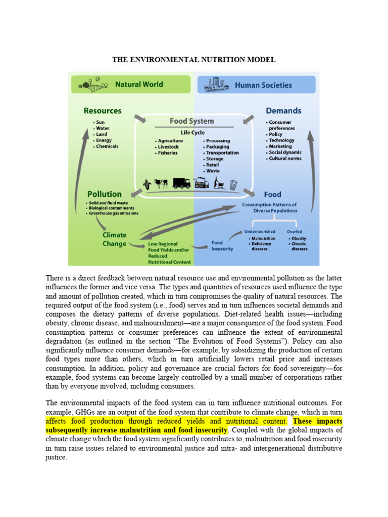 The Environmental Nutrition Model | PDF | Malnutrition | Nutrition