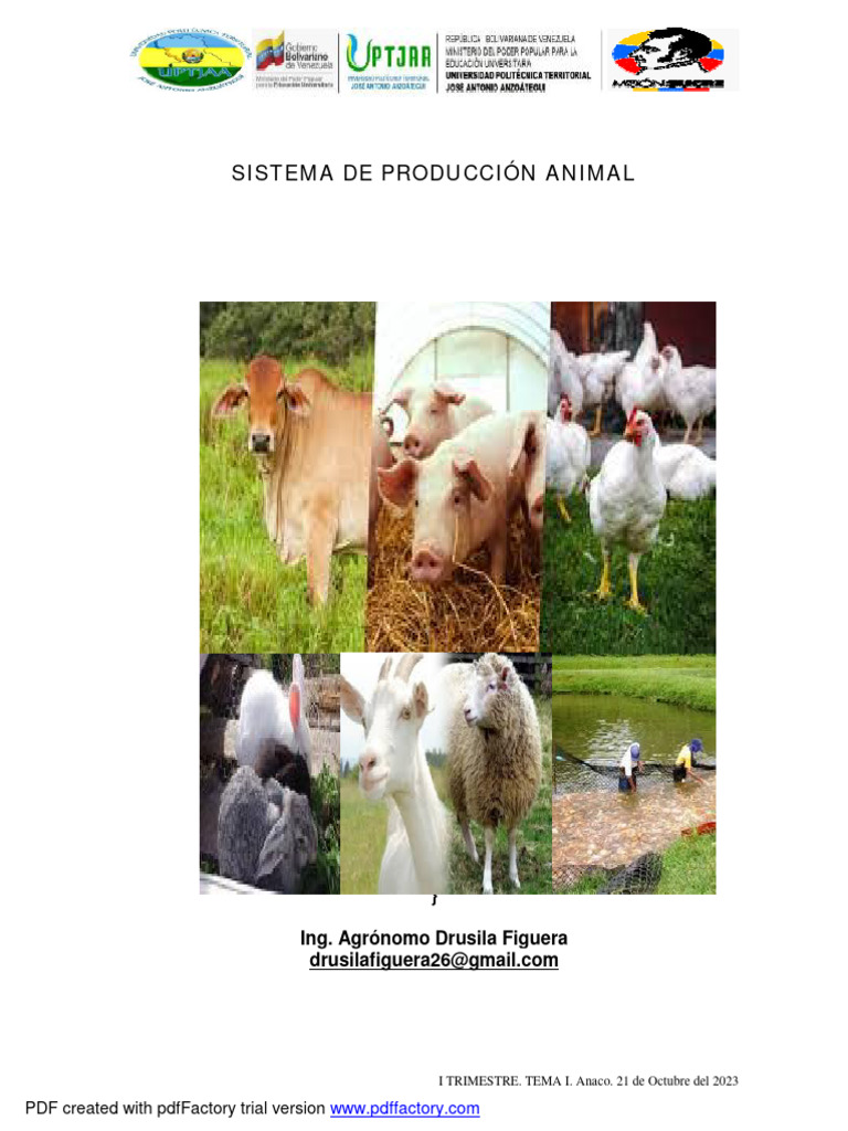 21-10-2023 Tema 1 Sistema de Producción Animal | PDF | Carne | Vacas