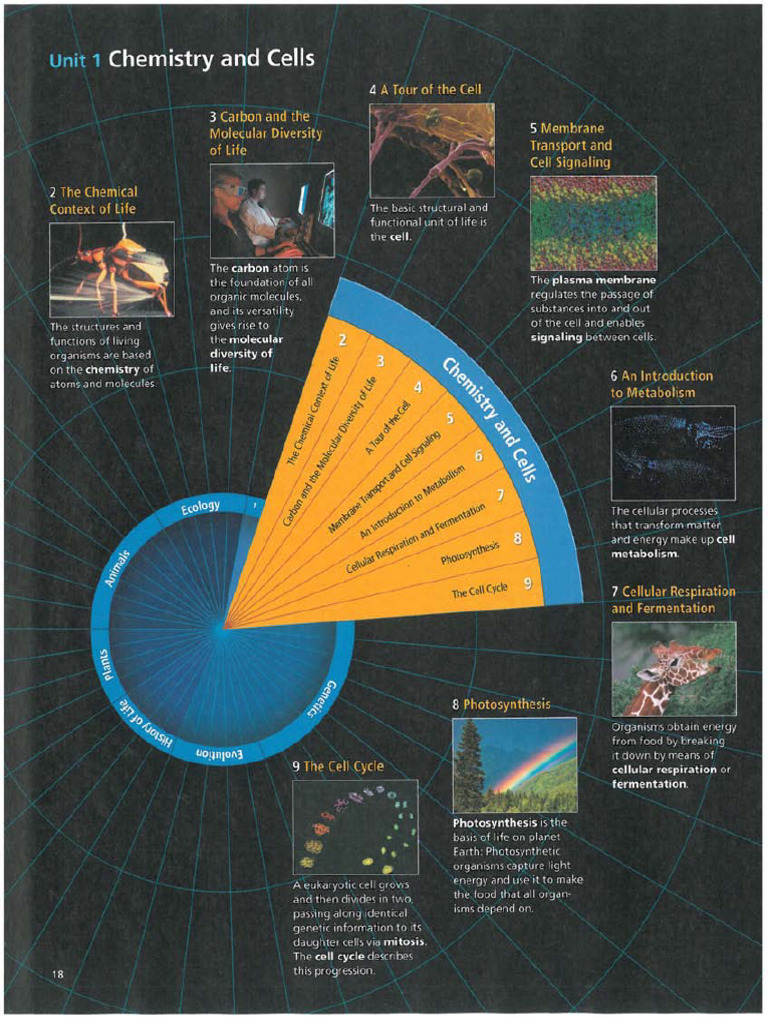 Unit 1 Chemistry and Cells | PDF
