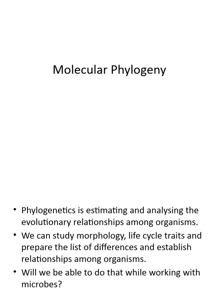Molecular Phylogeny Part I | PDF | Molecular Phylogenetics | Organisms