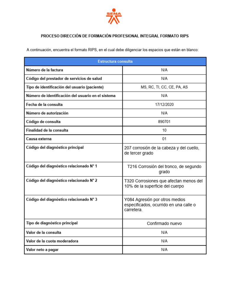 Anexo Formato Rips Pdf