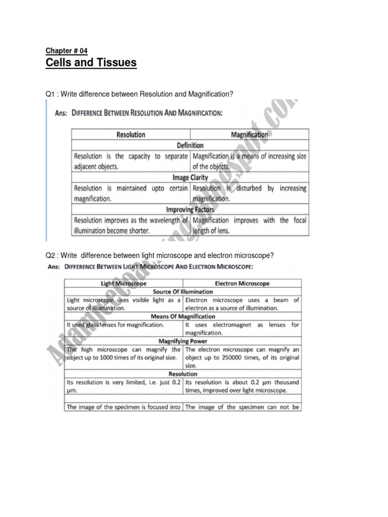 Biology Chapter 4 | PDF | Cell (Biology) | Tissue (Biology)