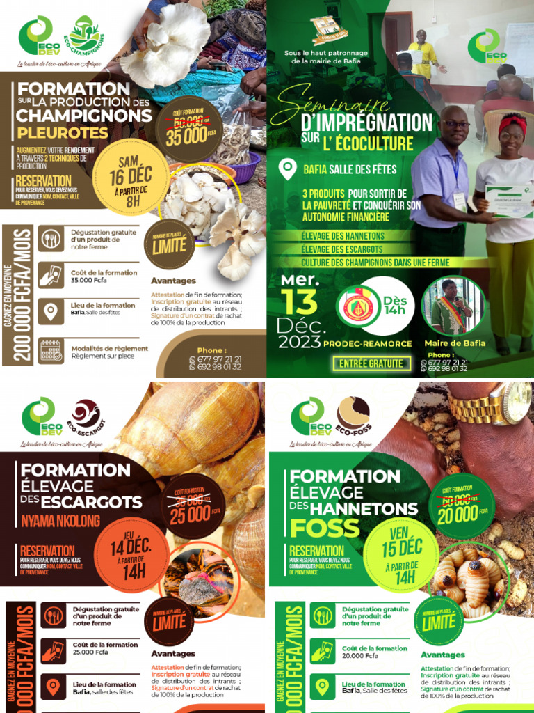 Livret Ecodev - Bafia - 073919 | PDF