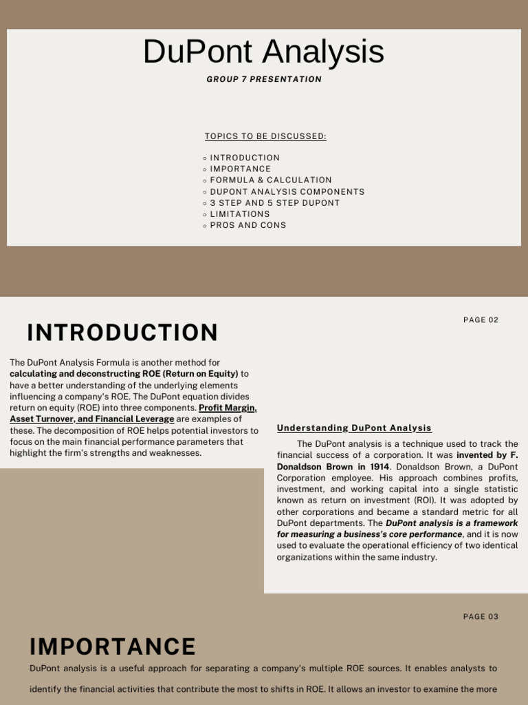 Dupont Analysis Report | PDF | Return On Equity | Leverage (Finance)