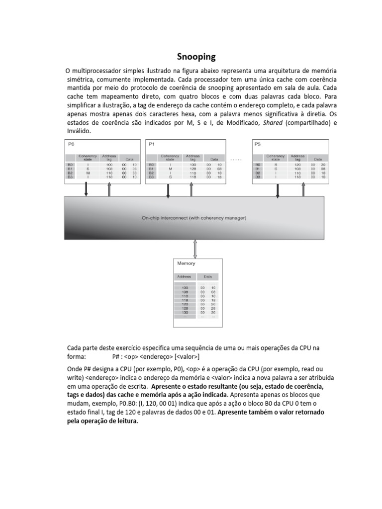 Exercício Snooping | PDF