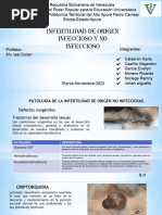 Anatomía y enfermedades del pene canino | PDF | Pene | Urología