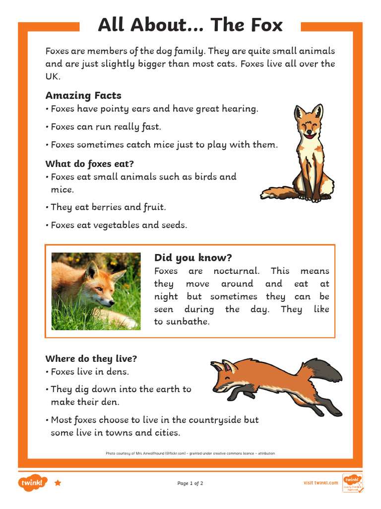 Fox Reading Comprehension | PDF | Fox | Cats