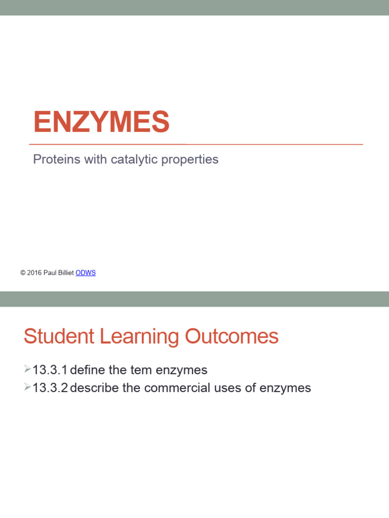Enzymes | PDF | Enzyme | Active Site