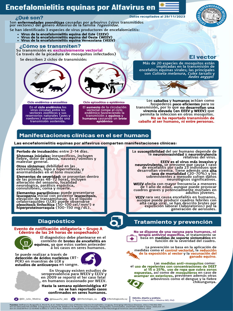 Encefalomielitis equina por Alfavirus: Guía | PDF | Virus ...