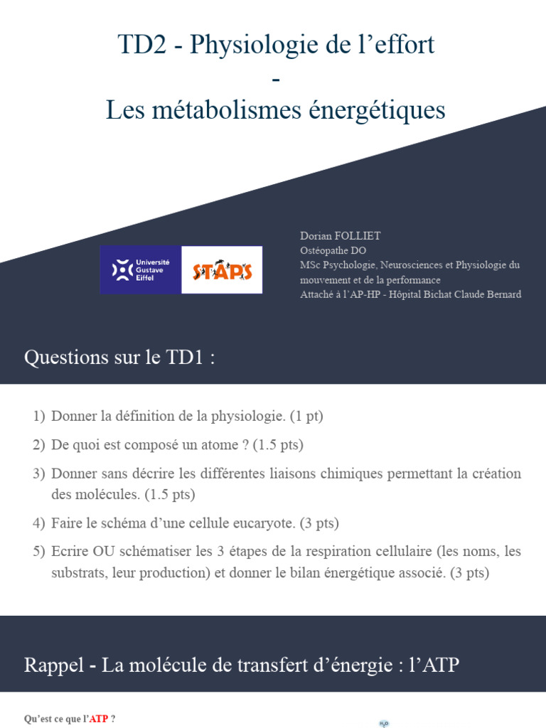 TD2 - Les Filières Énergétiques | PDF