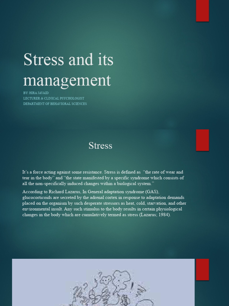 Effective Stress Management Techniques | PDF | Stress (Biology ...
