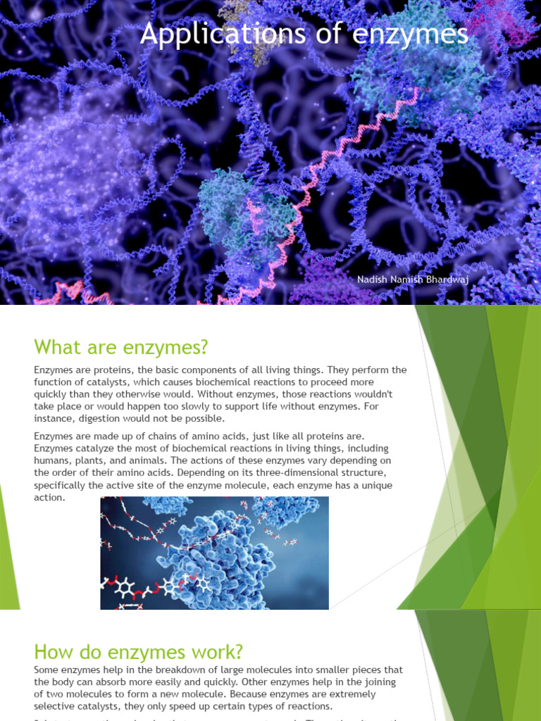 Applications of Enzymes | PDF | Enzyme | Active Site