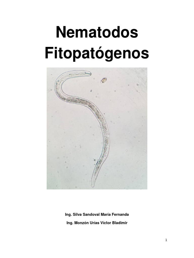 Nematodos Fitopatógenos | PDF | Nematodo | Especialidades Medicas