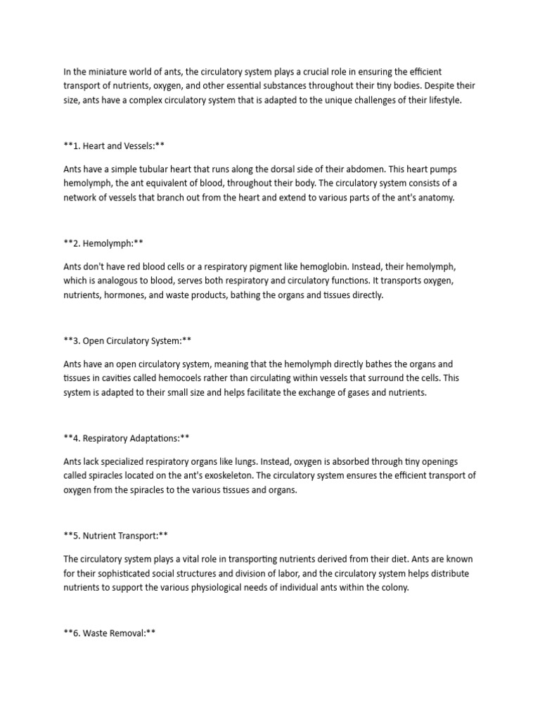 Ants System | PDF | Circulatory System | Respiratory System