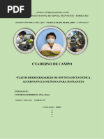 MODELO DE CARATULA Py EUREKA | PDF