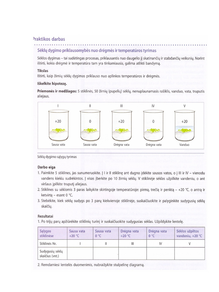 Praktikos Darbas | PDF