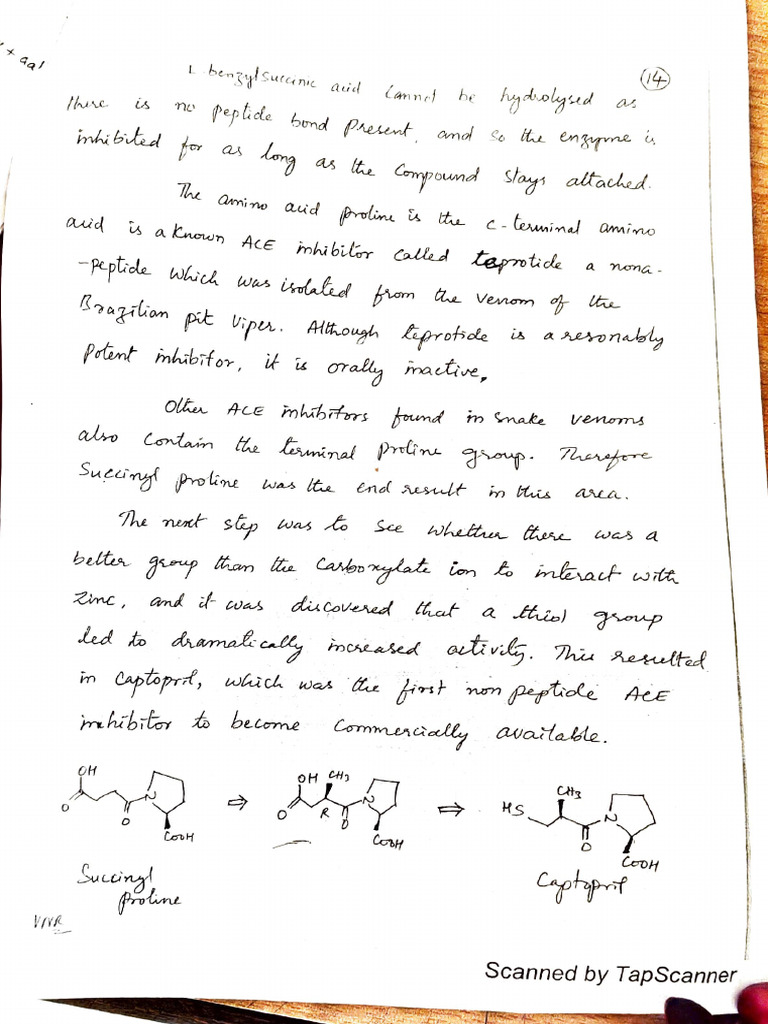 Lead Modification Sar | PDF