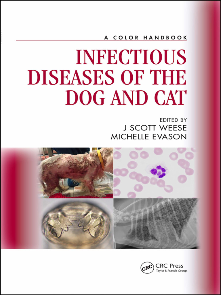Infectious Diseases of The Dog and Cat, A Color Handbook (VetBooks - Ir ...