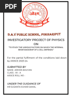 Class XII Physics Project (Pith Ball) | PDF | Electric Charge | Weight
