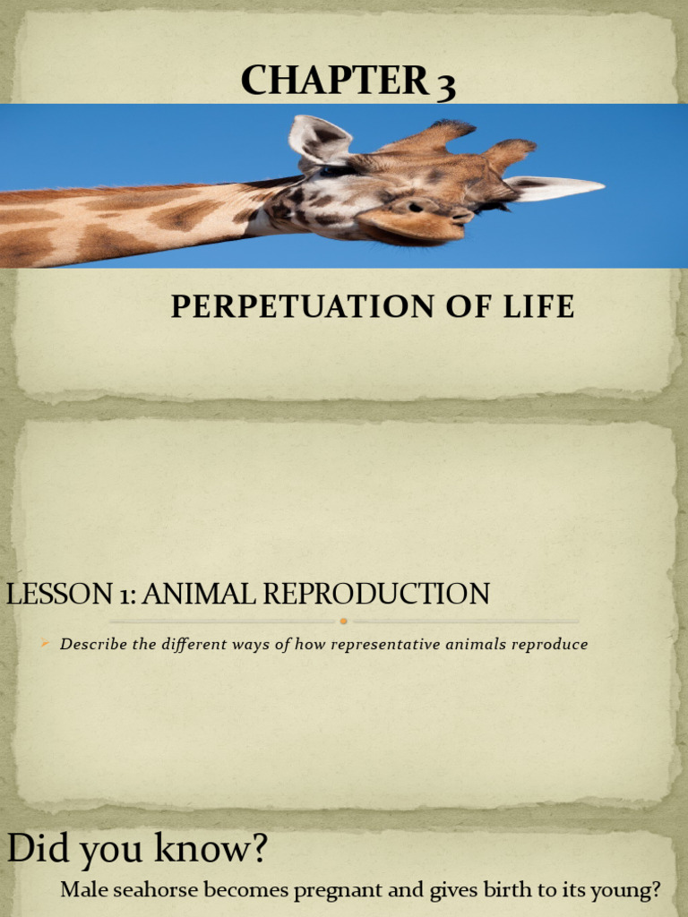 Chapter 3 Perpetuation of Life | PDF | Flowers | Plants