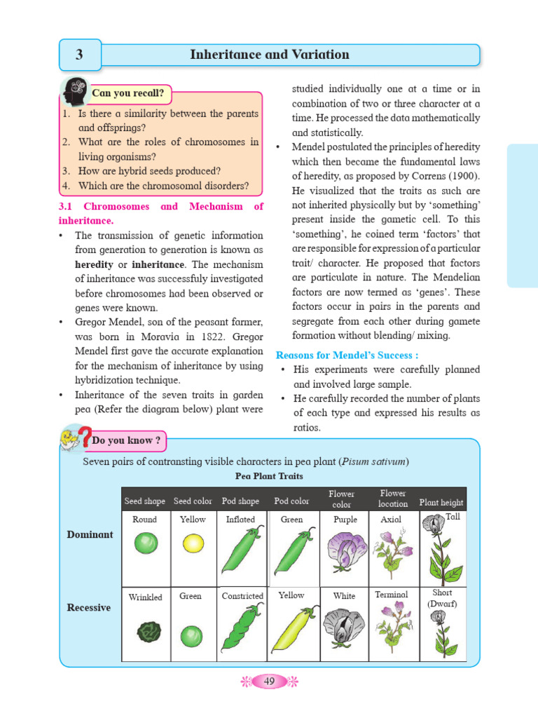 Class 12 Bio CH 3 Inheritance and Variations | PDF | Dominance (Genetics) | Zygosity