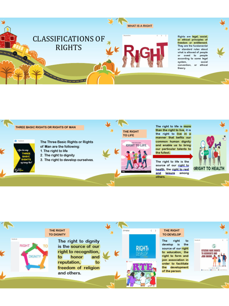V. CLASSIFICATIONS OF RIGHTS v2 | PDF | Rights | Government