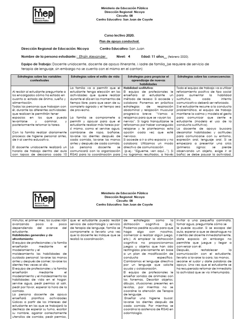 Formato de Plan de Apoyo Conductual Positivo Efain | PDF Formato de Plan de Apoyo Conductual Positivo Efain | PDF